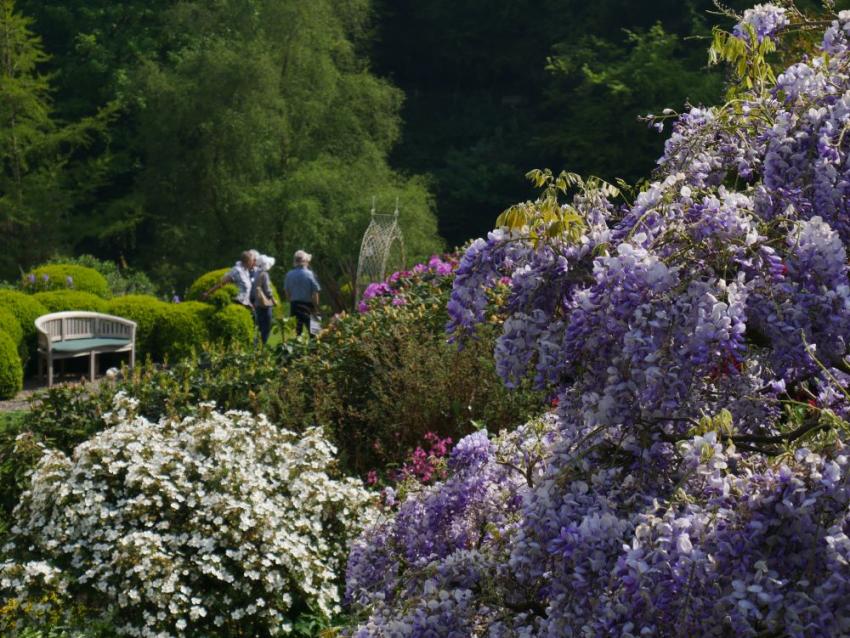 New Members' Event | Devon Gardens Trust