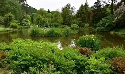 What the Trust does | Devon Gardens Trust
